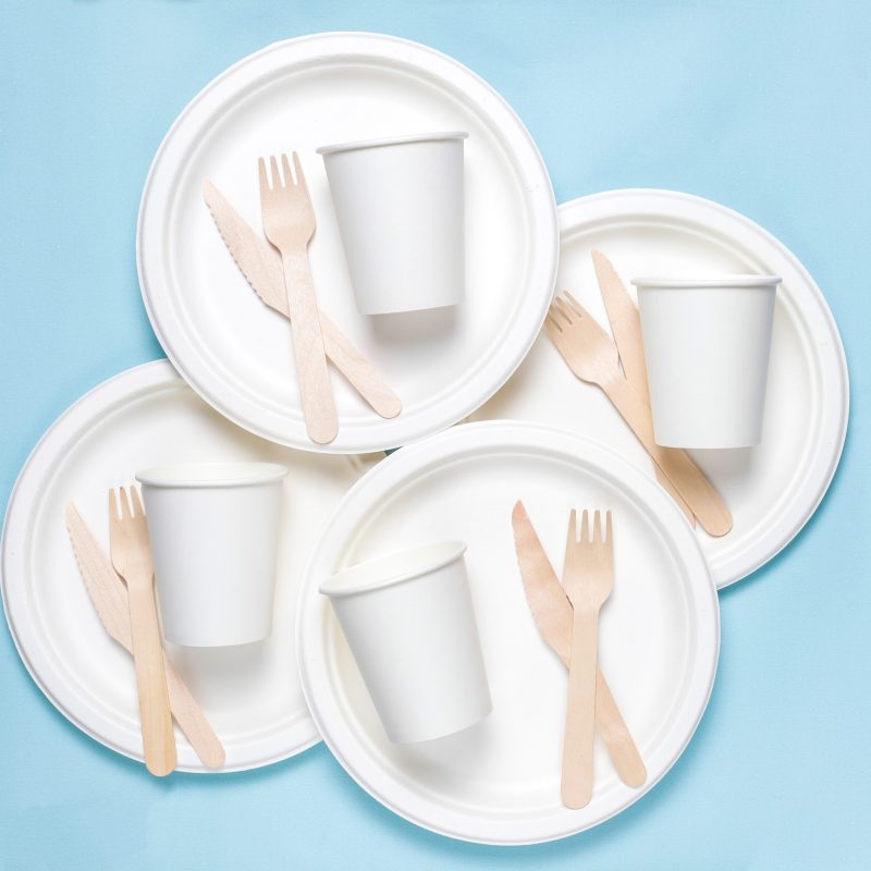 Bagasse Tableware – GOODS 4 GLOBE